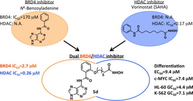 Synthesis and evaluation of novel dual BRD4/HDAC inhibitors,Bioorganic ...