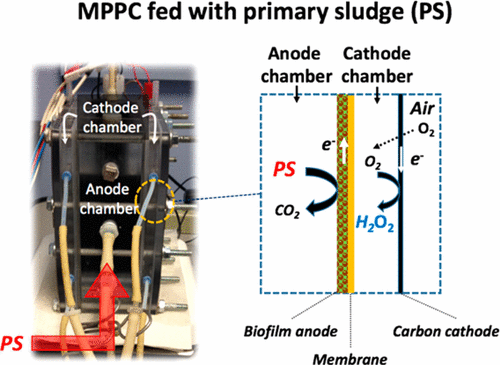 H2O2 Production in Microbial Electrochemical Cells Fed with Primary ...