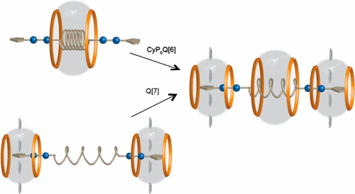 Molecular Snuggle and Stretch of a Tetraammonium Chain in the ...