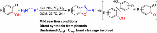 Selective Aerobic C–H Amination of Phenols with Primary Amines over ...