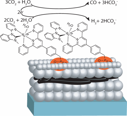 Single-Site, Heterogeneous Electrocatalytic Reduction of CO2 in Water ...