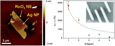 Strong enhancement of electrical conductivity in two-dimensional micrometer-sized RuO2 ...