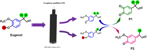 Electrochemical oxidation mechanism of eugenol on graphene modified ...