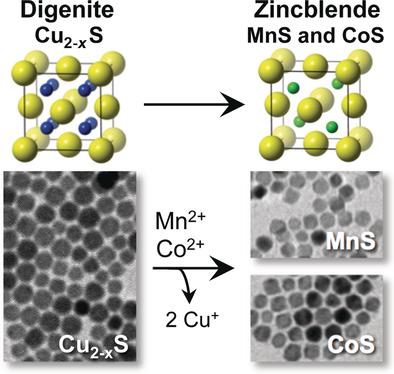 Structure-Selective Cation Exchange in the Synthesis of Zincblende MnS ...