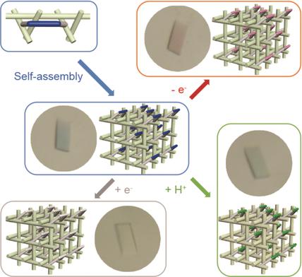An Organic Semiconductor Organized into 3D DNA Arrays by “Bottom-up ...