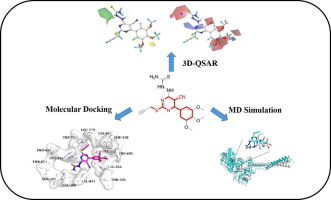 3D-QSAR (CoMFA, CoMSIA), molecular docking and molecular dynamics simulations study of 6-aryl-5 ...