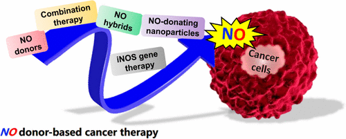 Nitric Oxide Donor-Based Cancer Therapy: Advances and Prospects,Journal ...