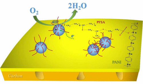 Polyaniline and Perfluorosulfonic Acid Co-Stabilized Metal Catalysts ...