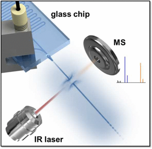 Liquid Beam Desorption Mass Spectrometry for the Investigation of ...