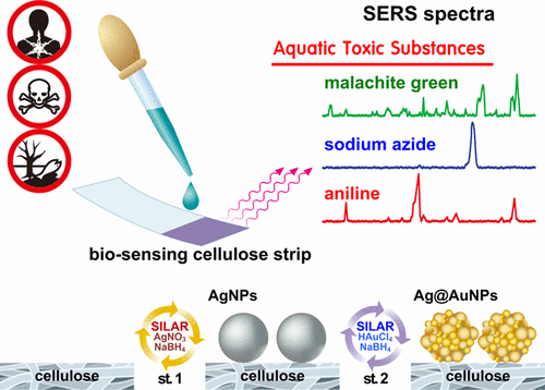 Low-Cost Label-Free Biosensing Bimetallic Cellulose Strip with SILAR ...