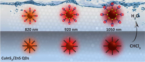 Highly Luminescent Water-Dispersible NIR-Emitting Wurtzite CuInS2/ZnS ...