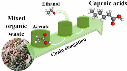 Production of Caproic Acid from Mixed Organic Waste: An Environmental ...