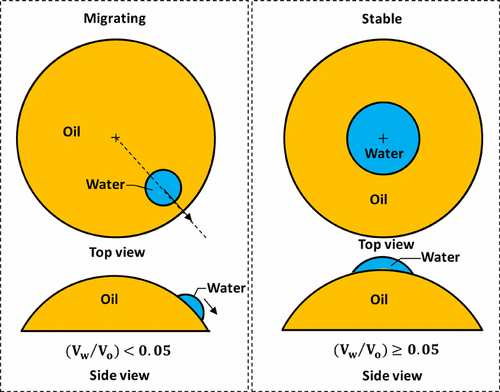 Dynamics of a Water Droplet over a Sessile Oil Droplet: Compound ...