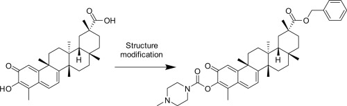 Synthesis of 3- and 29-substituted celastrol derivatives and structure ...