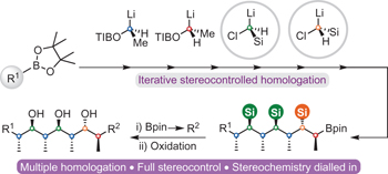 Iterative assembly line synthesis of polypropionates with full ...