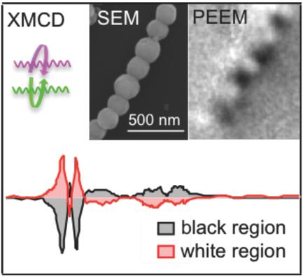 XMCD and XMCD‐PEEM Studies on Magnetic‐Field‐Assisted Self‐Assembled 1D ...