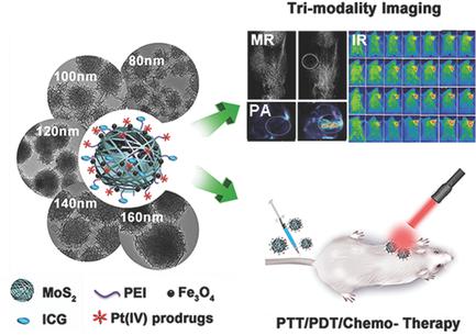 Synthesis and Optimization of MoS2@Fe3O4-ICG/Pt(IV) Nanoflowers for MR ...