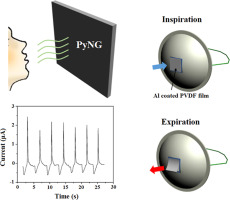 A wearable pyroelectric nanogenerator and self-powered breathing sensor ...
