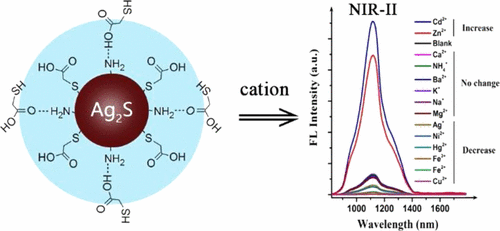 Synthesis of Water-Soluble Ag2S Quantum Dots with Fluorescence in the ...