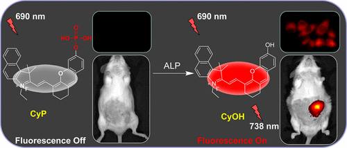 Facile and Sensitive Near-Infrared Fluorescence Probe for the Detection ...