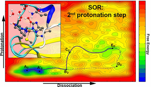Iron Hydroperoxide Intermediate in Superoxide Reductase: Protonation or ...