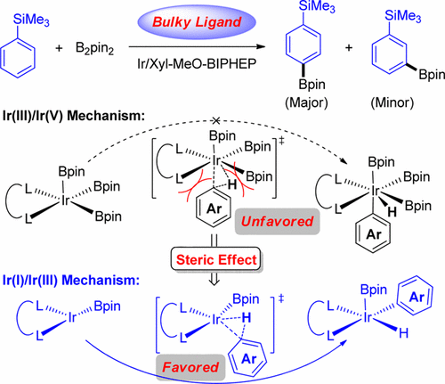 Ir(III)/Ir(V) or Ir(I)/Ir(III) Catalytic Cycle? Steric-Effect ...