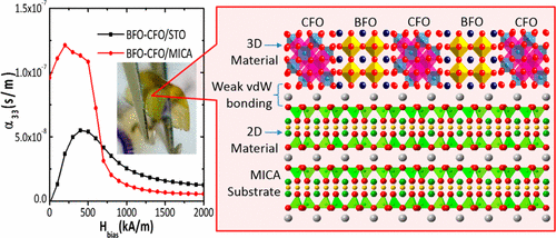 Flexible Multiferroic Bulk Heterojunction with Giant Magnetoelectric ...