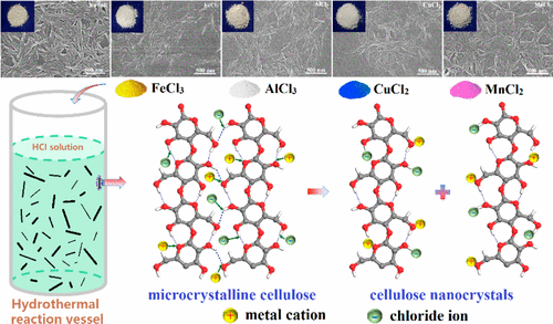 Efficient Extraction of Cellulose Nanocrystals through Hydrochloric ...