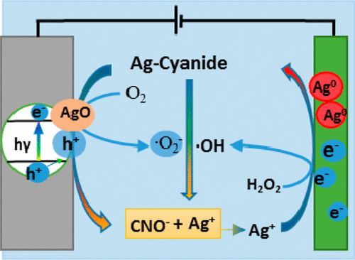 H2O2 Assisted Photoelectrocatalytic Oxidation of Ag-Cyanide Complexes ...
