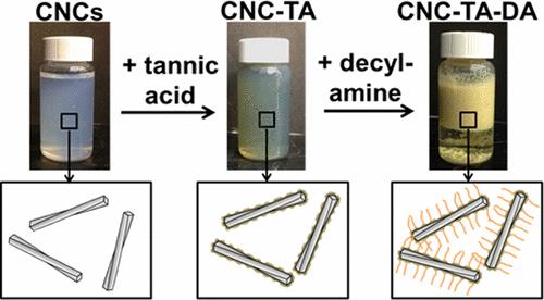 One-Pot Water-Based Hydrophobic Surface Modification of Cellulose ...
