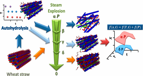Role of Steam Explosion on Enzymatic Digestibility, Xylan Extraction ...
