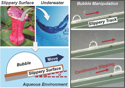 Manipulating Bubbles in Aqueous Environment via a Lubricant‐Infused ...