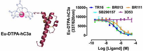 Europium-Labeled Synthetic C3a Protein as a Novel Fluorescent Probe for ...