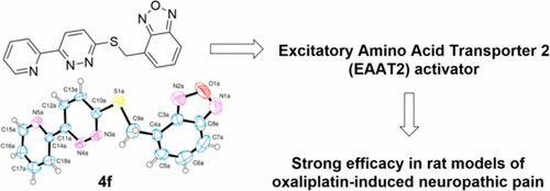 Synthesis and Biological Evaluation of Novel Neuroprotective Pyridazine Derivatives as ...