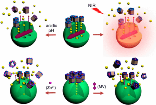 Phosphonated Pillar[5]arene-Valved Mesoporous Silica Drug Delivery ...
