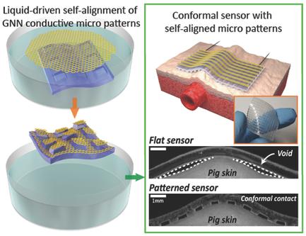 Microtopography-Guided Conductive Patterns of Liquid-Driven Graphene Nanoplatelet Networks for ...