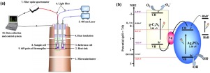 In-situ photocalorimetry-fluorescence spectroscopy studies of RhB ...