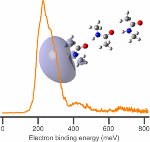 Effects of Alkyl Groups on Excess-Electron Binding to Small-Sized ...