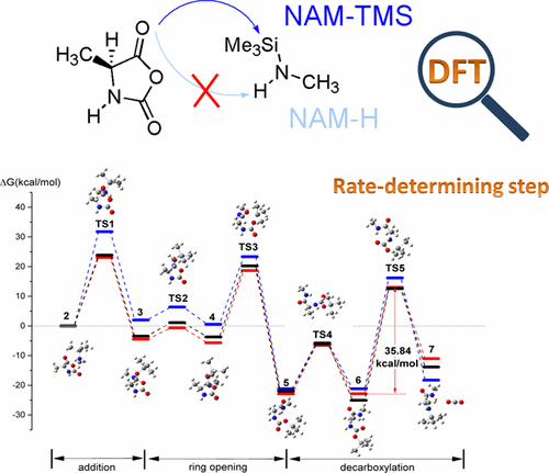 NAM-TMS Mechanism of α-Amino Acid N-Carboxyanhydride Polymerization: A ...