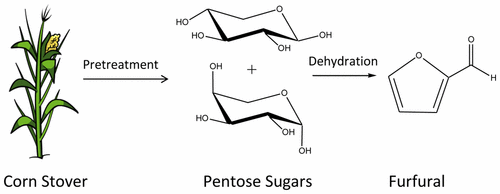 Production of Furfural from Process-Relevant Biomass-Derived Pentoses ...