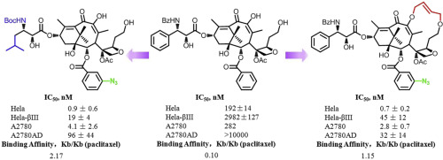 Modification of C-seco taxoids through ring tethering and substituent ...