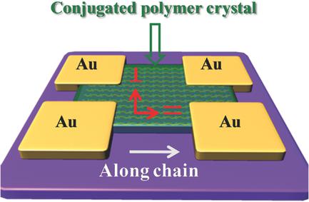 Approaching Intra‐ and Interchain Charge Transport of Conjugated ...