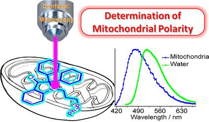 Rationally Designed Solvatochromic Fluorescent Indoline Derivatives for ...