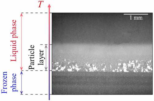 多个颗粒与凝固前沿的相互作用：从压实颗粒层到颗粒捕集,Langmuir - X-MOL