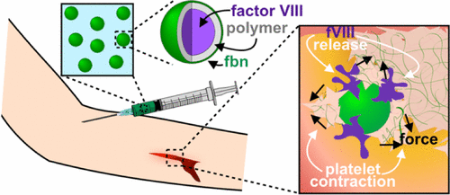 Platelet–Microcapsule Hybrids Leverage Contractile Force for Targeted ...
