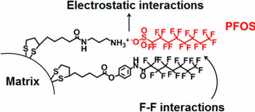 Elucidation of the Molecular Determinants for Optimal ...