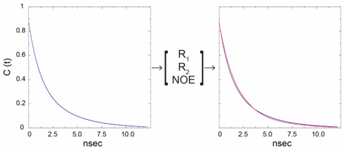 Prediction of Bond Vector Autocorrelation Functions from Larmor ...