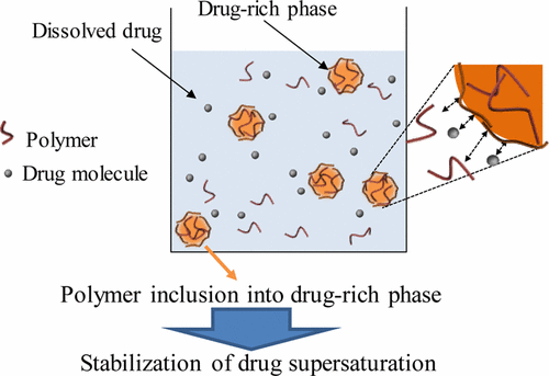 Direct NMR Monitoring of Phase Separation Behavior of Highly ...