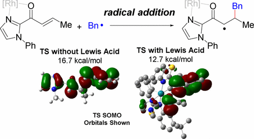 Understanding Rate Acceleration and Stereoinduction of an Asymmetric ...