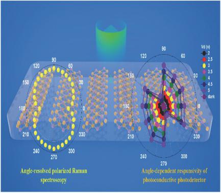 Highly Anisotropic Sb2Se3 Nanosheets: Gentle Exfoliation from the Bulk ...